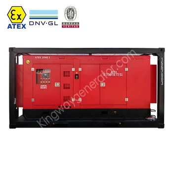 Atex Certification 3 Phase 200kw 250kva Zone 2 Explosion Proof Diesel ...