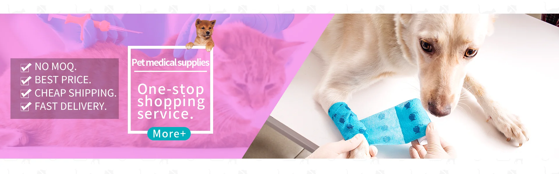 Shanghai S&C Biotech Co.,Ltd - Pet rapid test kit, Animal rapid test kit