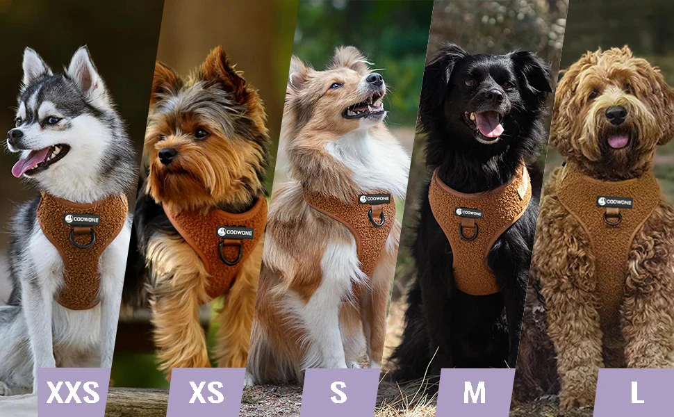 Personalized Dog Harness Set - Custom Design Collars & Leashes