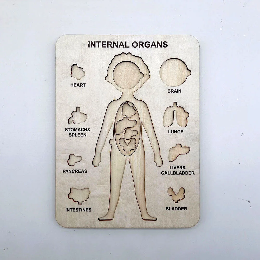 Educational Human Body Puzzle - Perfect for Homeschooling