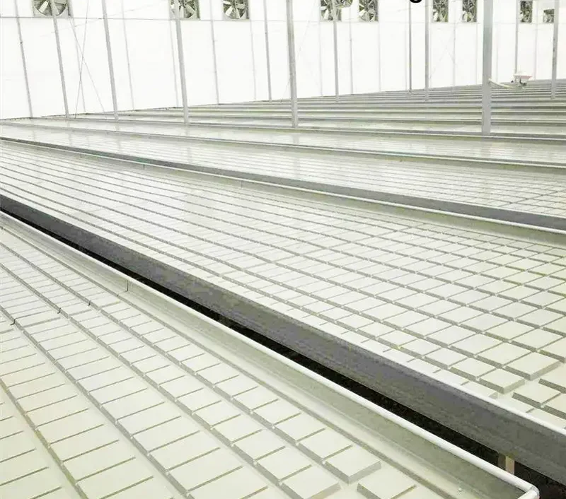 Hydroponic Growing System Flood Grow Table 4*8FT Customized Ebb and ...