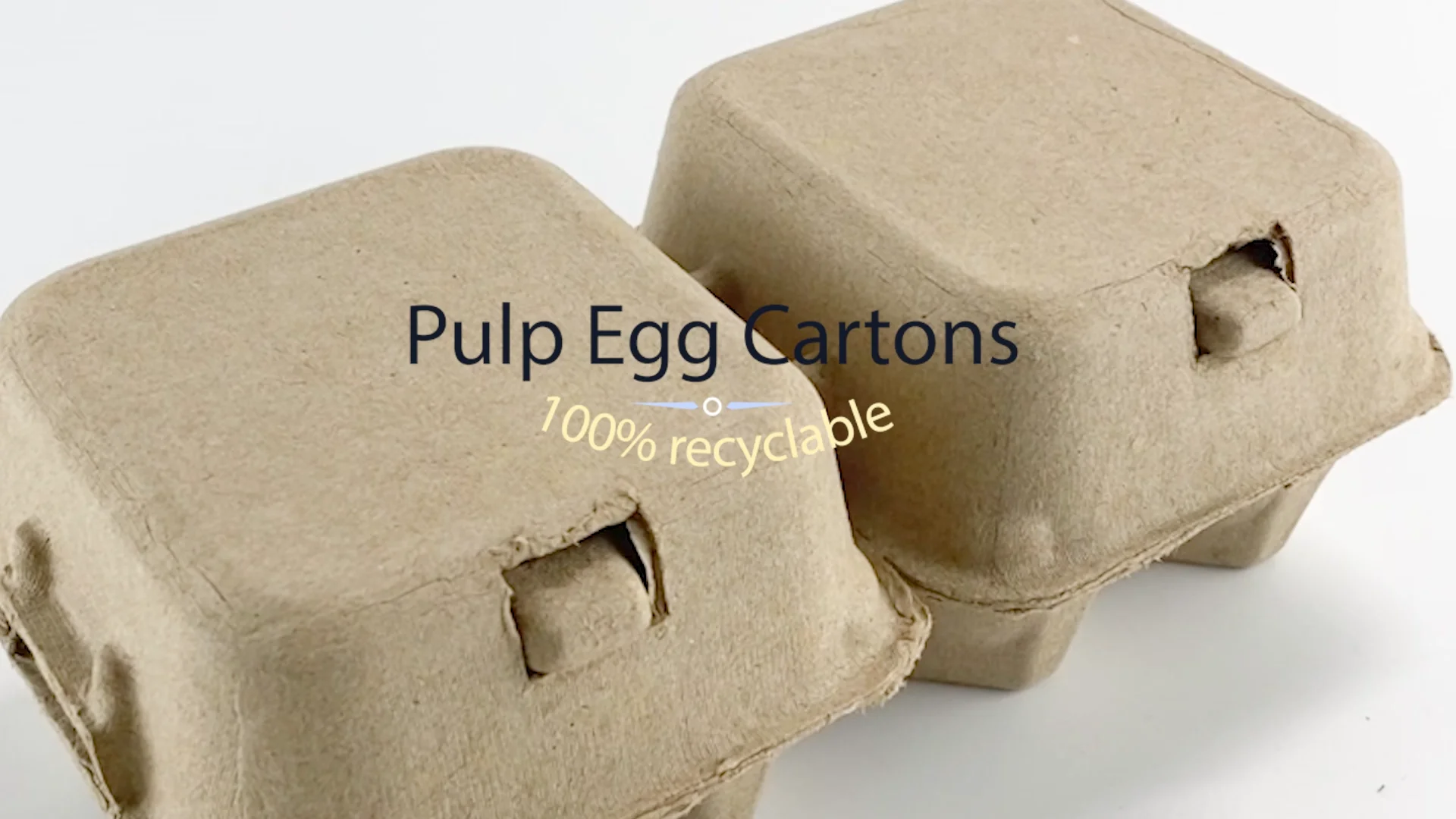 Custom Colors Pulp Molded Biodegradable Egg Tray Cartons For Wholesale ...