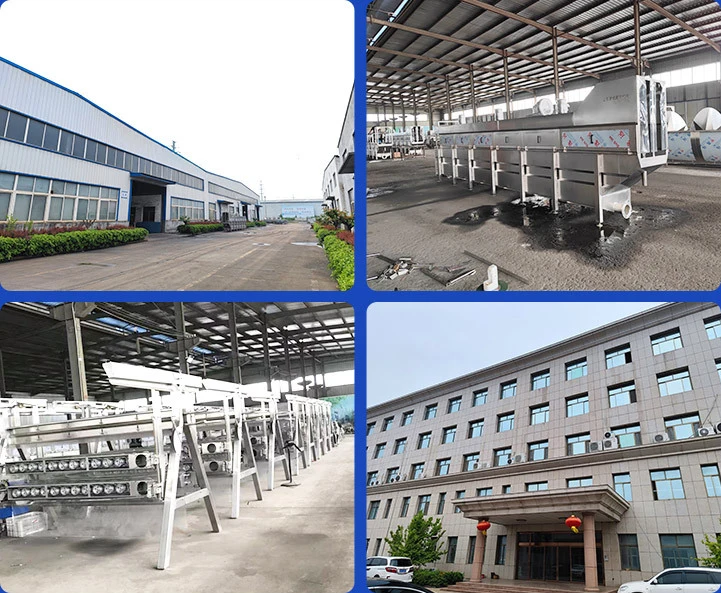 70 L Chicken Plucker Scalder - Durable & Efficient Poultry Machine