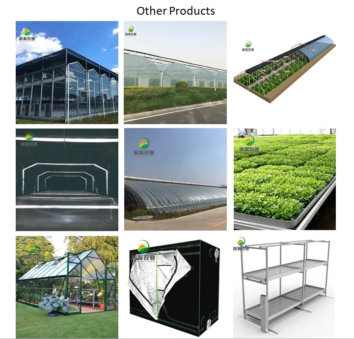 Aquaponics Growing System Aquaponics System For Fish And Vegetable ...