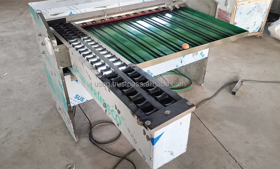 Automatic Egg Sorting Machine - Efficient & Reliable Grading