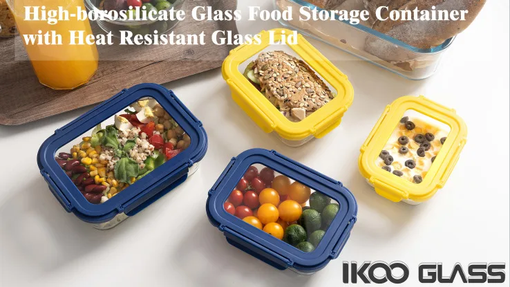 Ikoo Heat Resistant Vacuum Food Containers Glass Tiffin Box Borosil ...