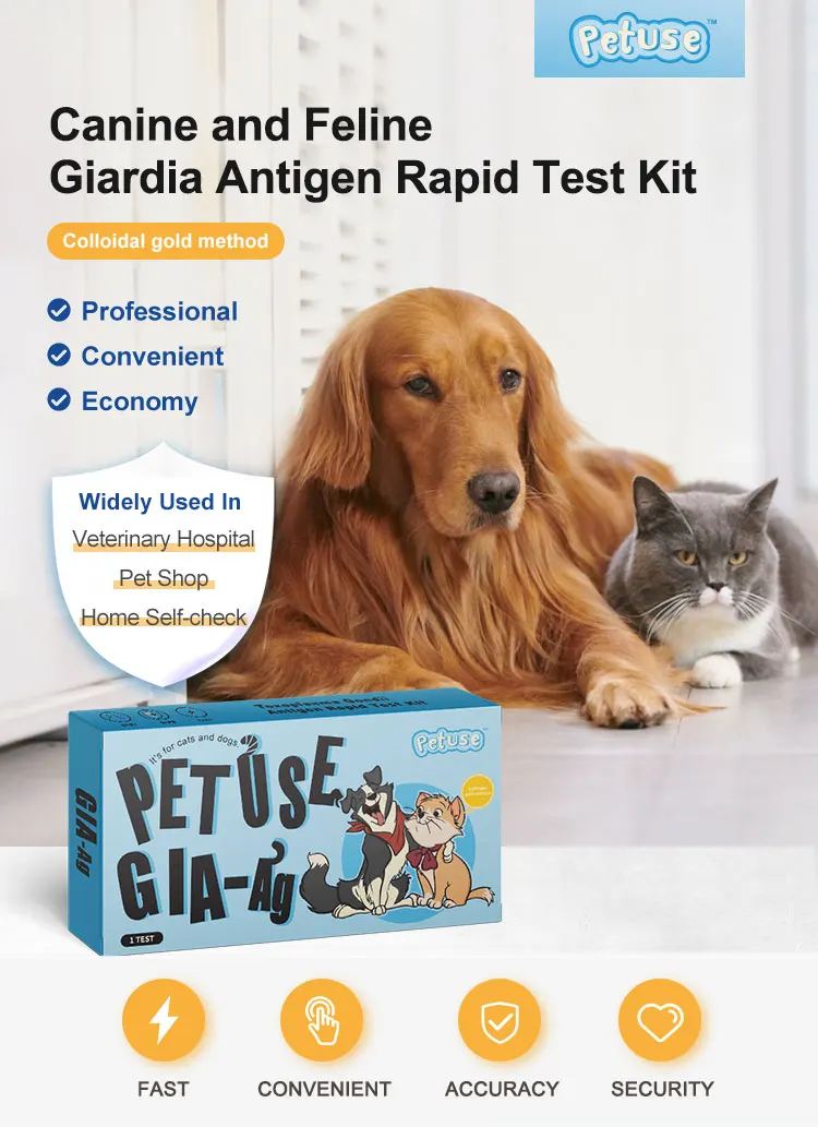 Pettie Paw Veterinary Test Canine Feline Giardia Antigen Test For Dog ...