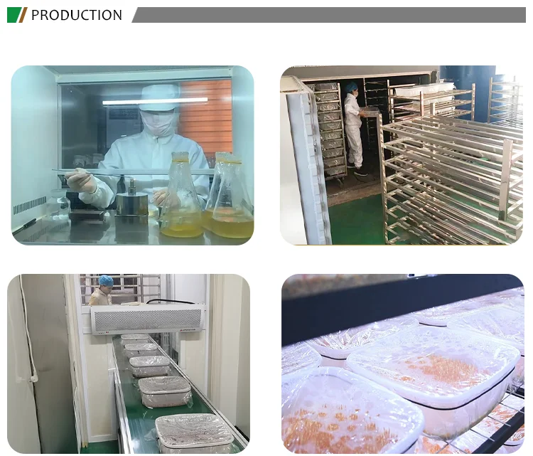 Oem Freshcap,Shroomies - Organic Mushroom Complex For Dogs Immunity ...