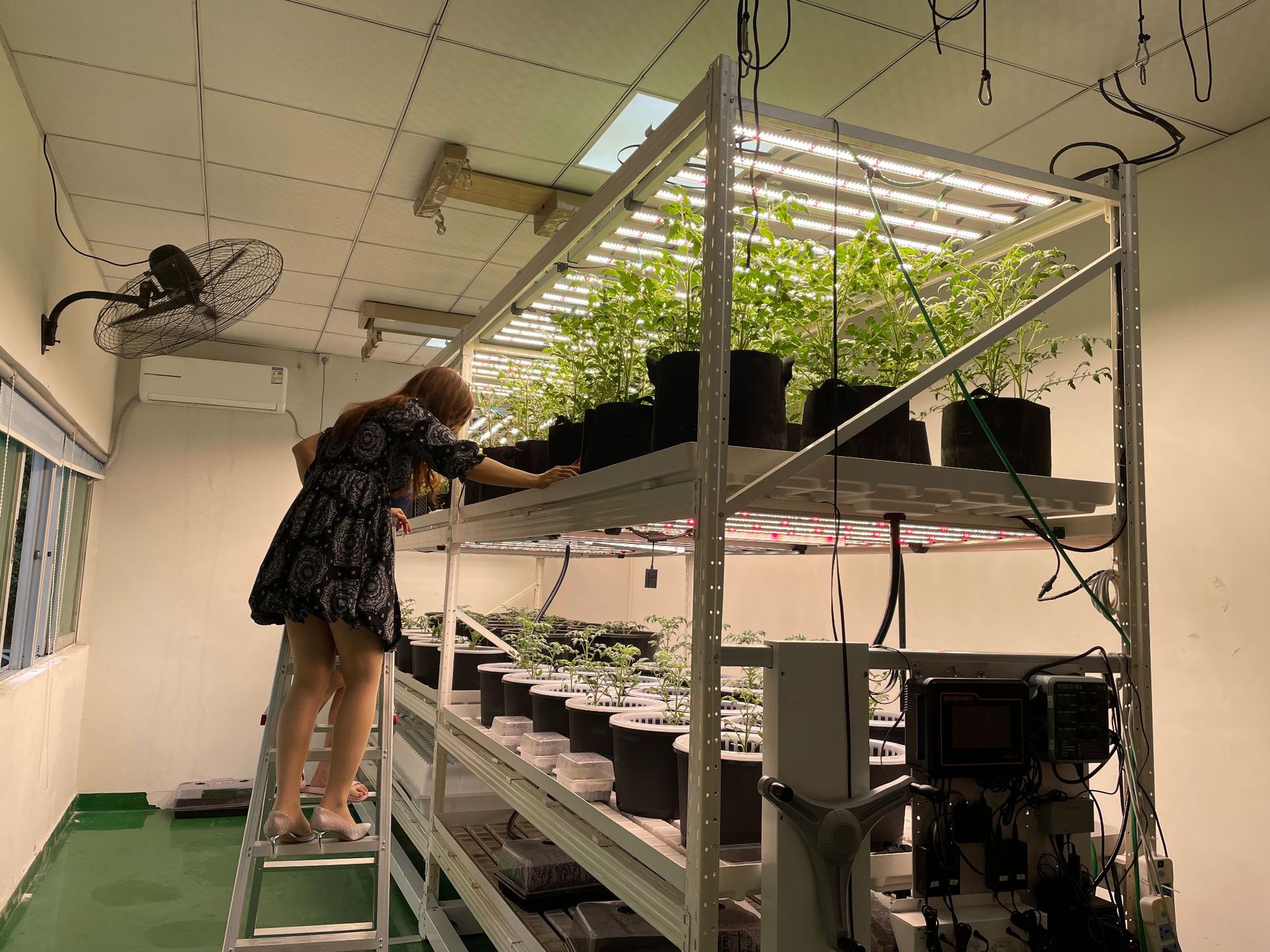 Multi Level Grow Rack System Aluminium Vegetable Growing Hydroponic ...