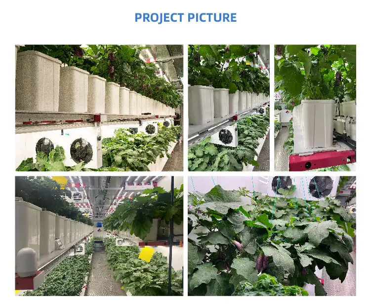 Vertical Farming Growing Machine Container Greenhouse Factory Aeroponic ...