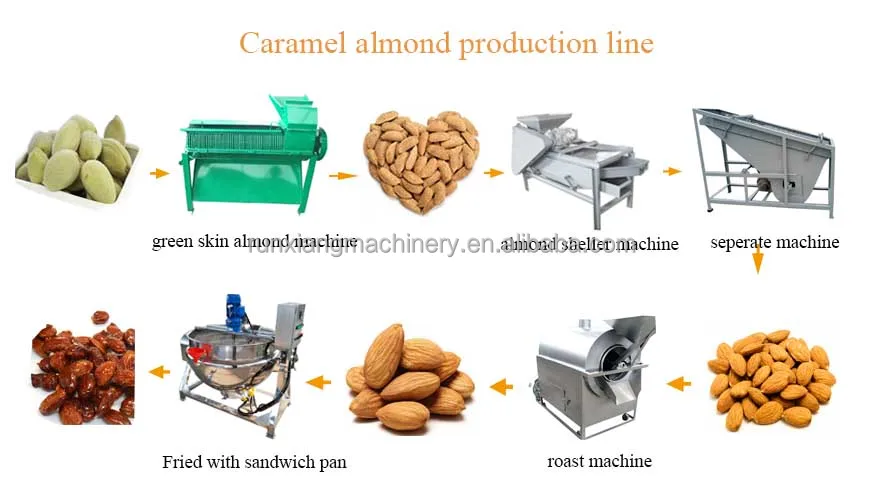 High Efficiency Nuts Processing Machines - Reliable Solutions
