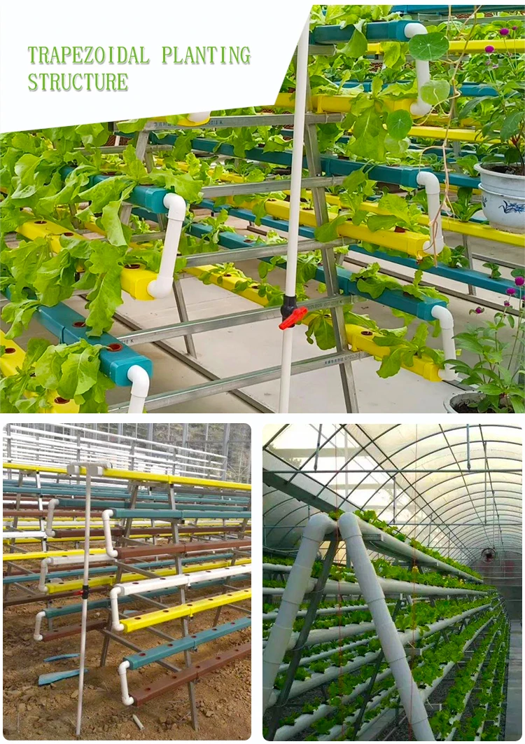Lyine China Factory New Designed Super Farm Hydroponic Nft Growing ...