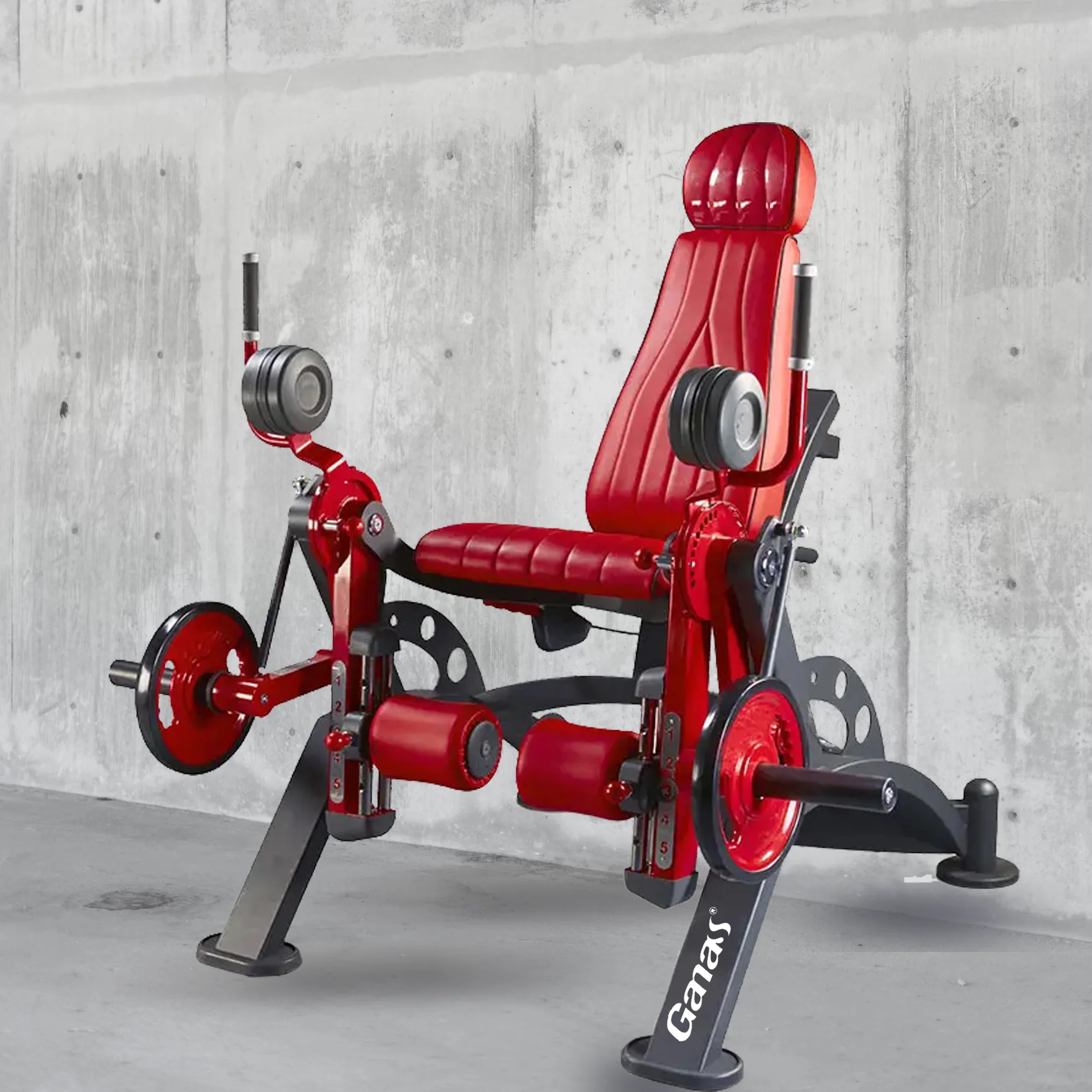 panata Adjustable Inclined Super Bench Dumbbell Set Box Incline Sit up ...