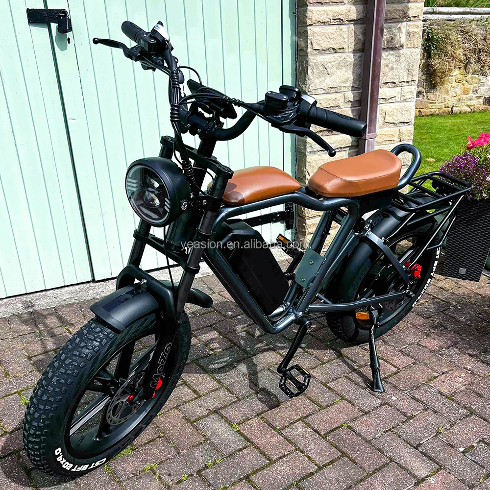 Electric Bike 48v 32ah 20 Wheel Size Electric Mountain Bike Fat Tire E ...