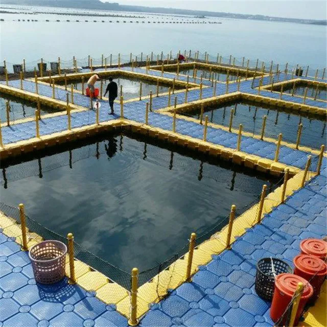 Floating Platform For Fishing Modular Pontoon Fish Cage Fish Farm ...