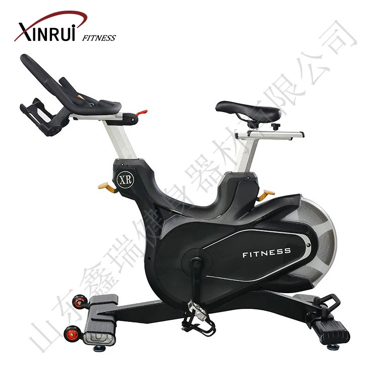 Magnetic Trainer Upright Spin Indoor Gym Workout Cardio Training ...