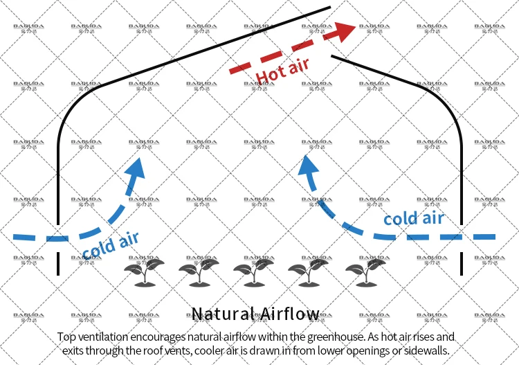 Sawtooth Greenhouse - Efficient Plant House Arch Pipes