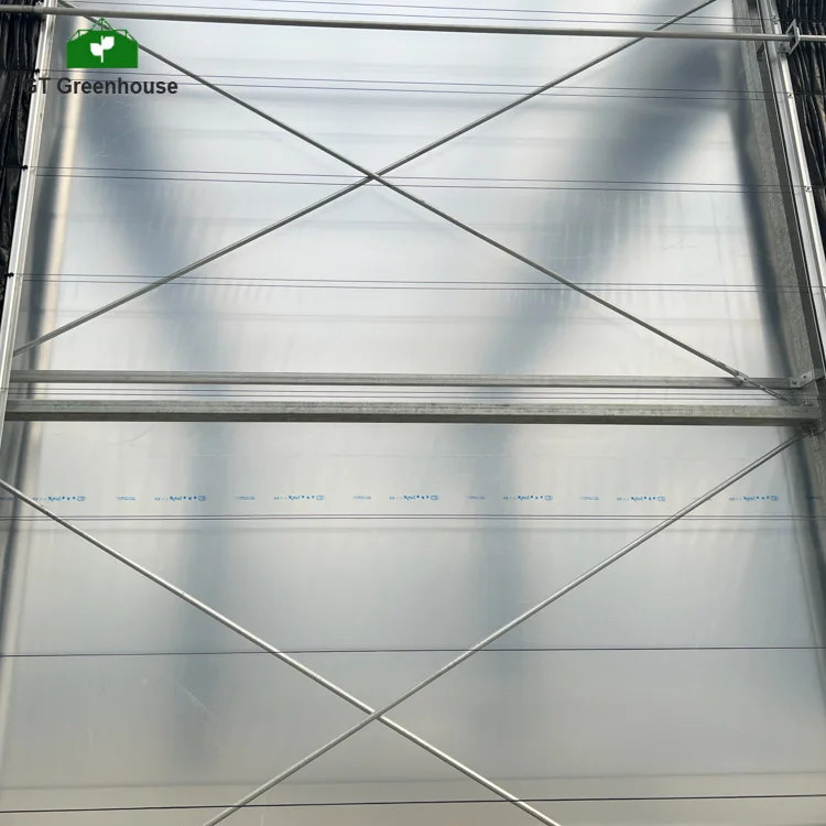 GT Multi-Span Plastic Greenhouse Frame for Agriculture OEM | Wholesale