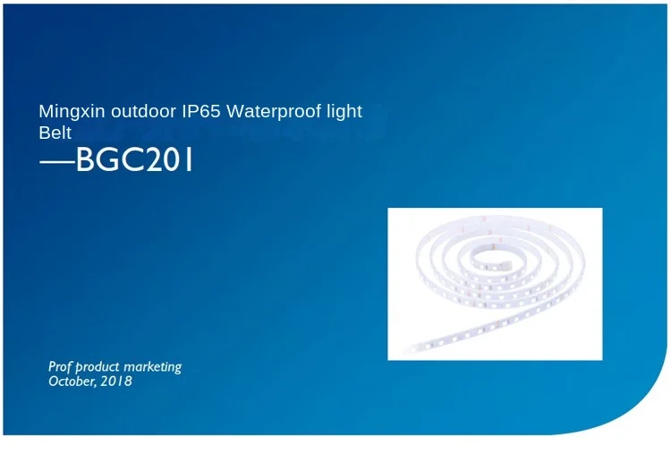 Philips BGC201 LED Outdoor IP65 Waterproof Light Strips
