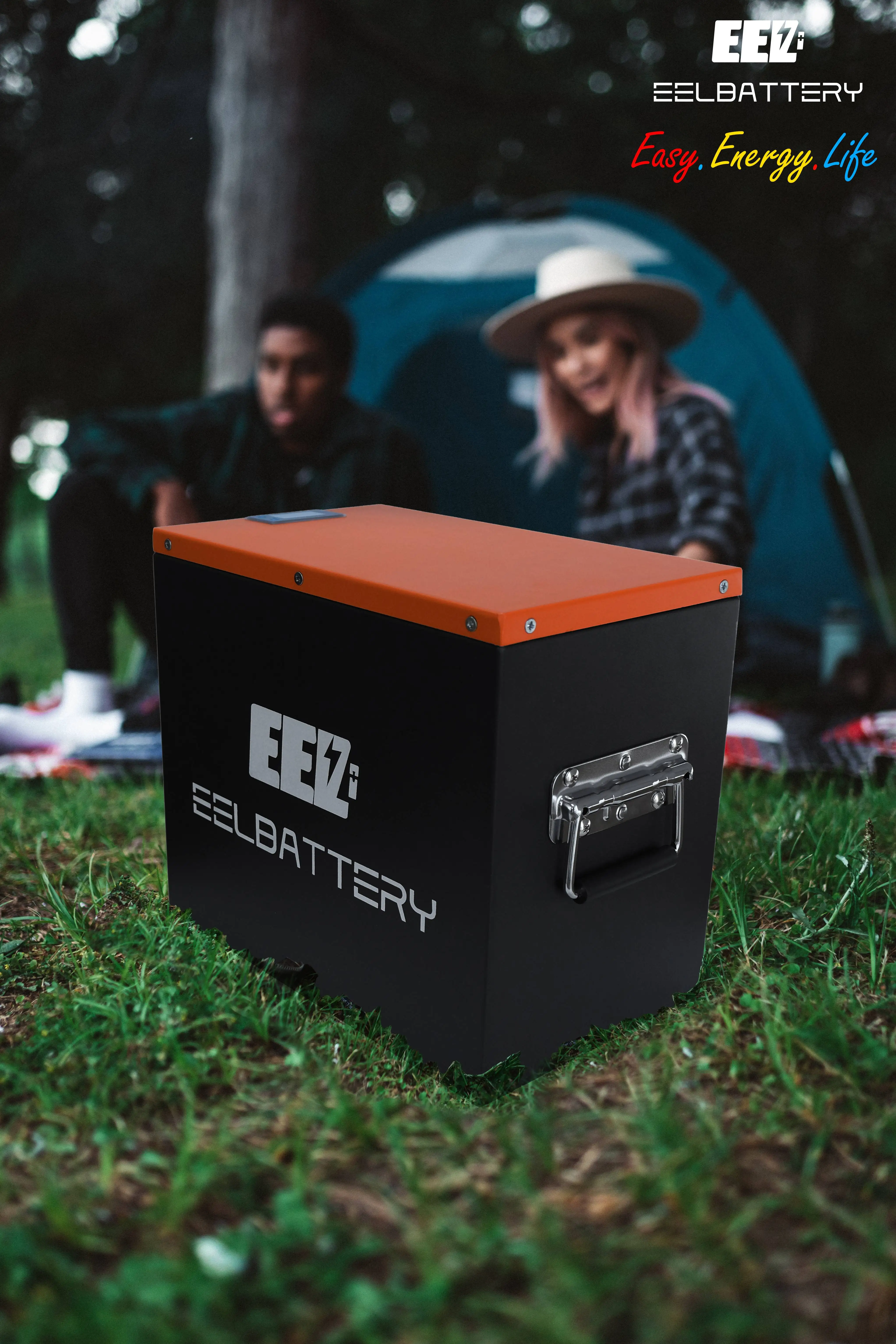 Diy 12v Lithium-ion Battery Box Lifepo4 Battery Pack Built-in 200a Bms ...