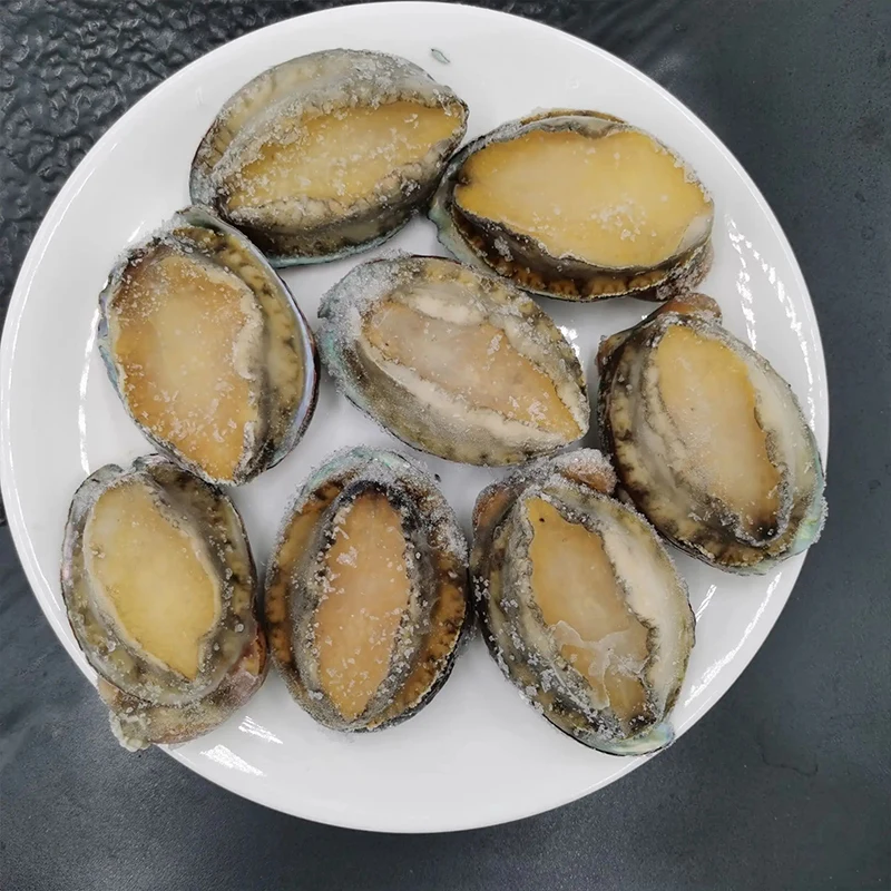 Wholesale High Quality Natural Abalone Freeze Air Dried Large Abalone ...