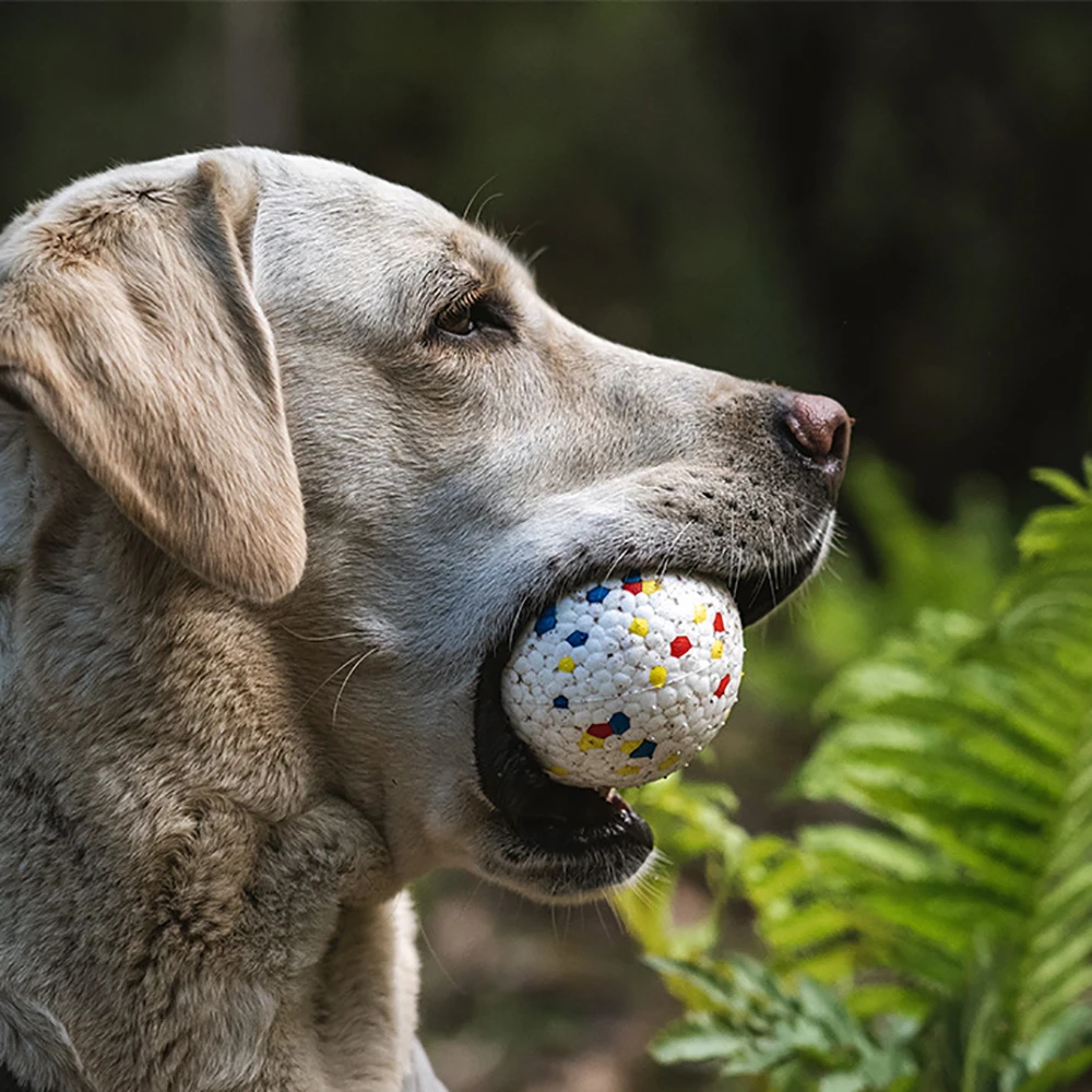 Wholesale Custom Package Etpu Bite Resistant Durable Pet Dog Chew Molar ...