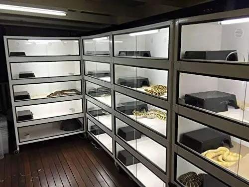 Modern Plastic Hide Box for Small Animals Snake Gecko Lizard Reptile ...