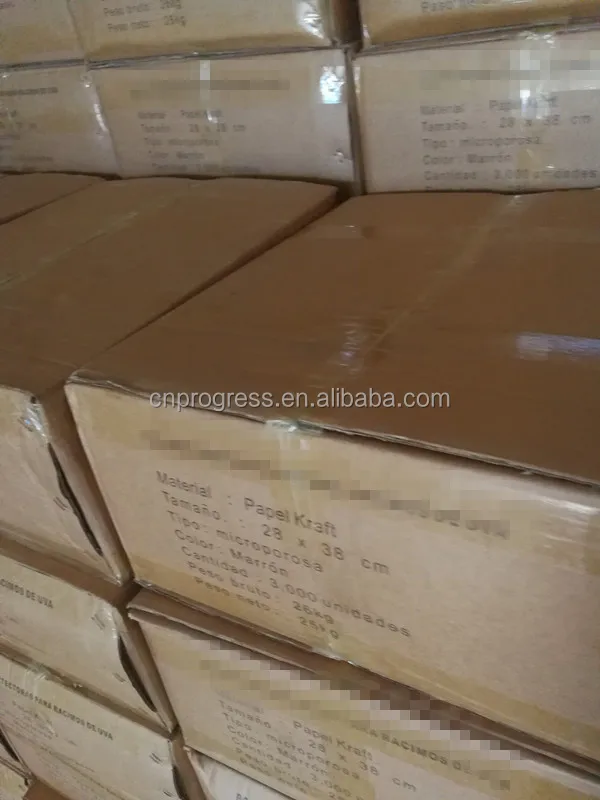 Wholesale Fruit Protection Growing Paper Bag Mango Protection Cover Bag ...