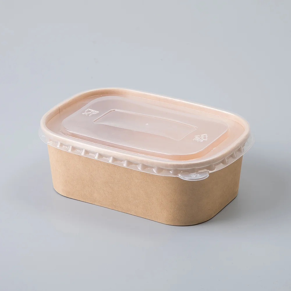 Eco Friendly Kraft Paper Packaging - Biodegradable Containers