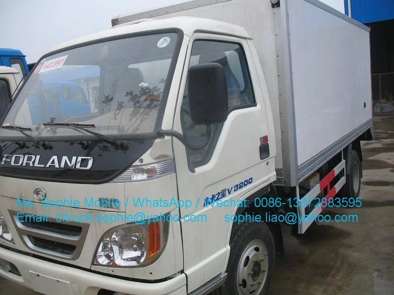 Foton 3 Ton Light Lorry Truck - Reliable Cargo Transport