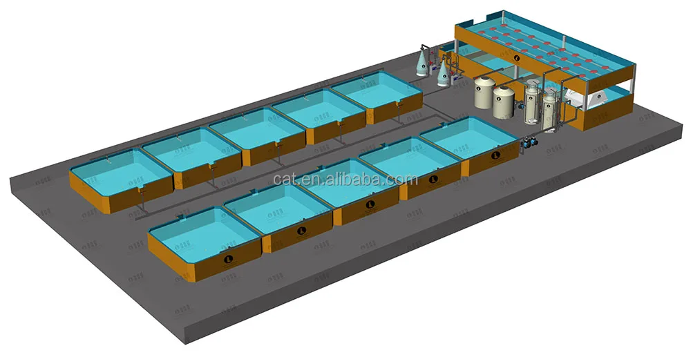 CATAQUA Cheap Tilapia Indoor Fish Farm Bio Filter RAS System