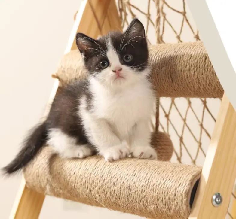 Factory Custom Climbing Net Cat Climbing Frame Wooden Cat Nest Jumping ...
