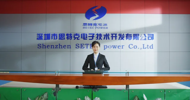 Setec Power Dc 450v Chademo V2h Inverter - Buy Ev Charger,V2h 6kw ...