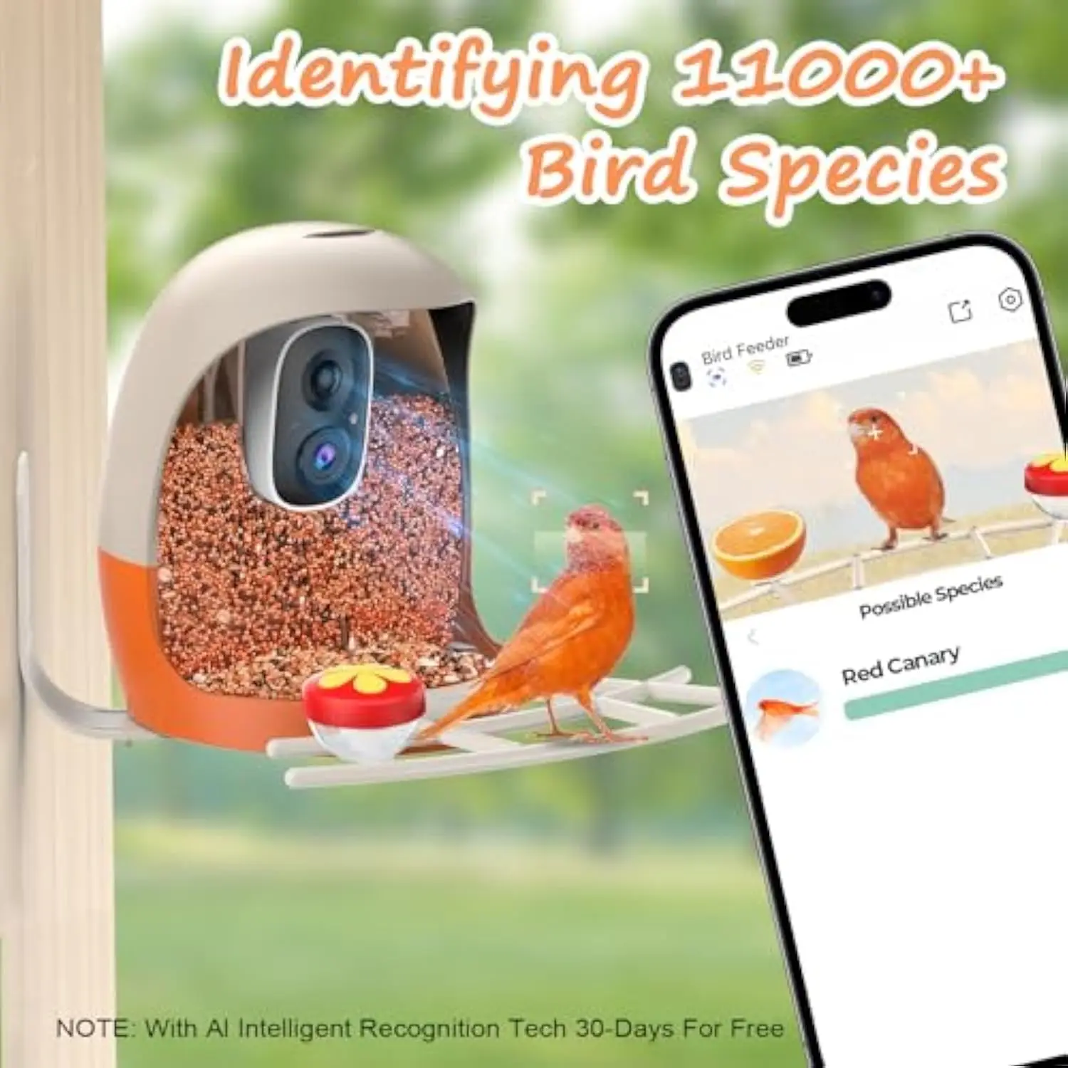 AI Intelligent Recognition Mobile Phone APP Control Outdoor Wildlife ...
