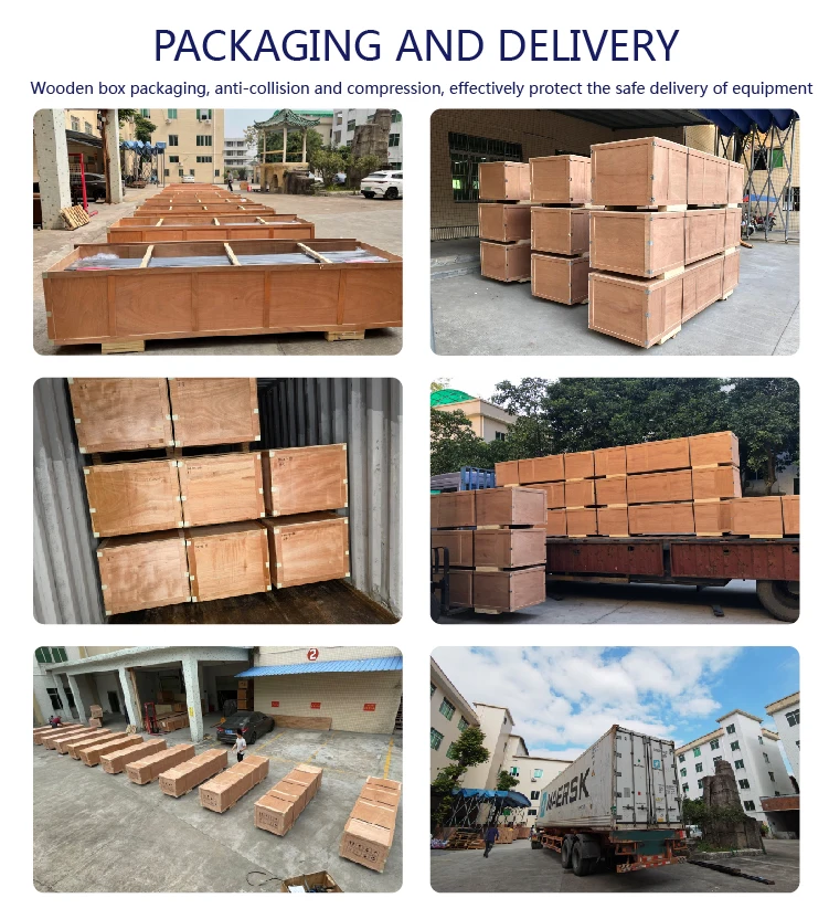 Sai Flexi Software 19 Photoprint Rip Software for Dtf Printer