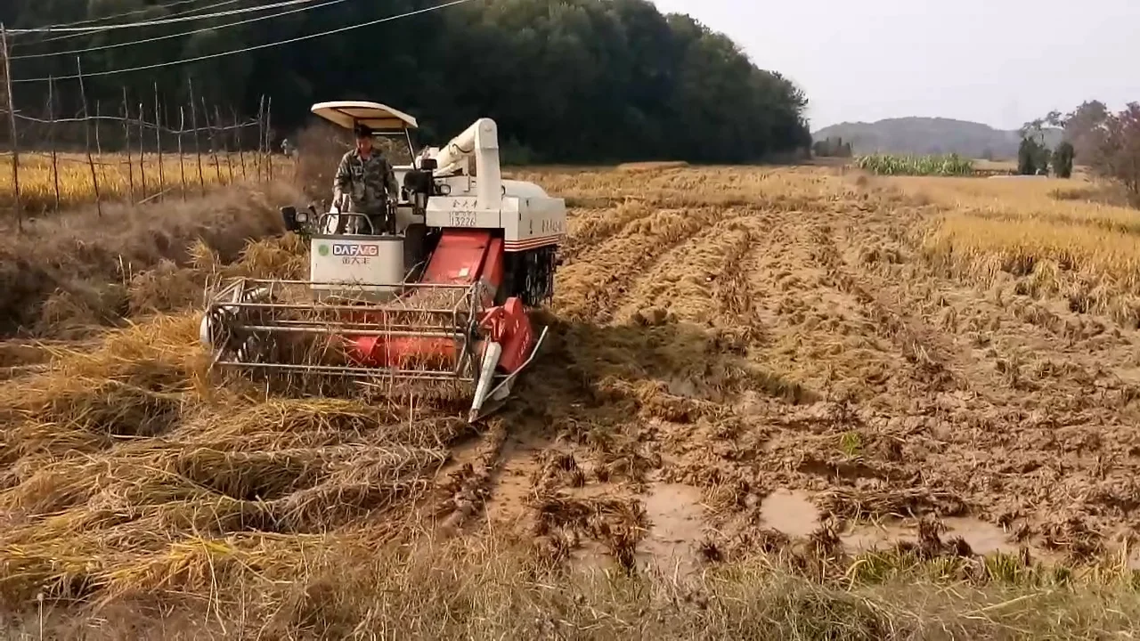 Agriculture Farm Small Rice Reaper Mini Paddy Harvester Machine 102hp ...