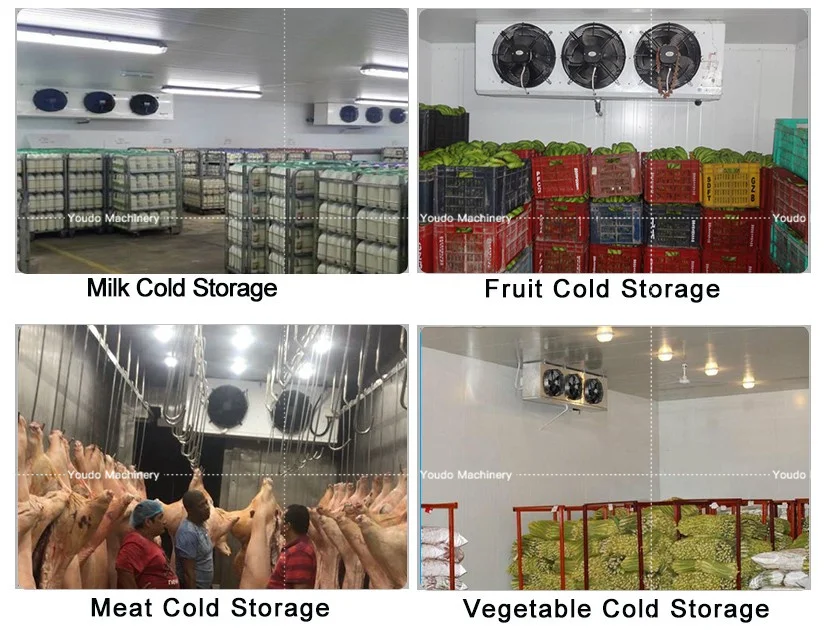 20ft 40ft Stainless Steel Automatic Diy Fish Refrigerator Tomato Onion ...