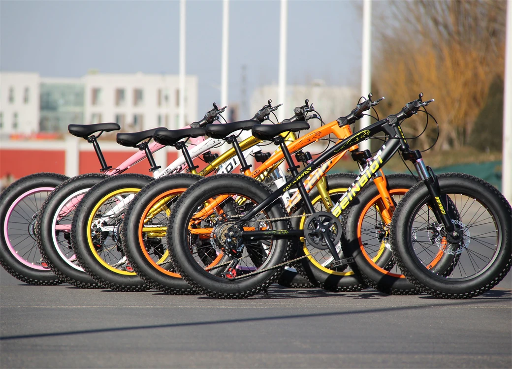 26-Inch Snow Bicycle with Steel Frame & Disc Brake, OEM