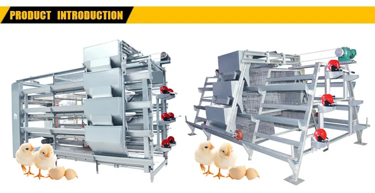 Automatic Battery Hot Dip Galvanized Poultry Layer Day Old Baby Chick ...