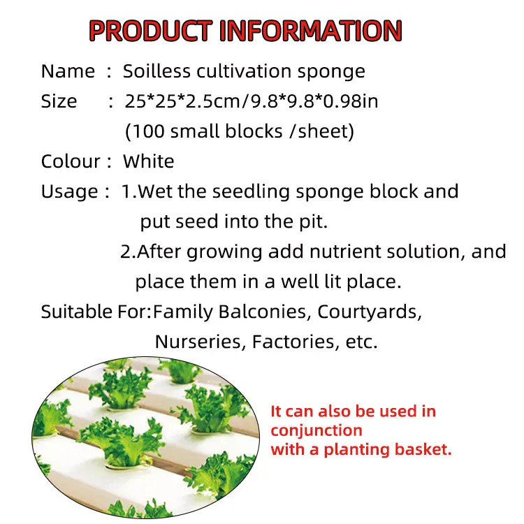 Whites Quare Seedling Sponge Hydroponic Plant Greenhouse Planting ...