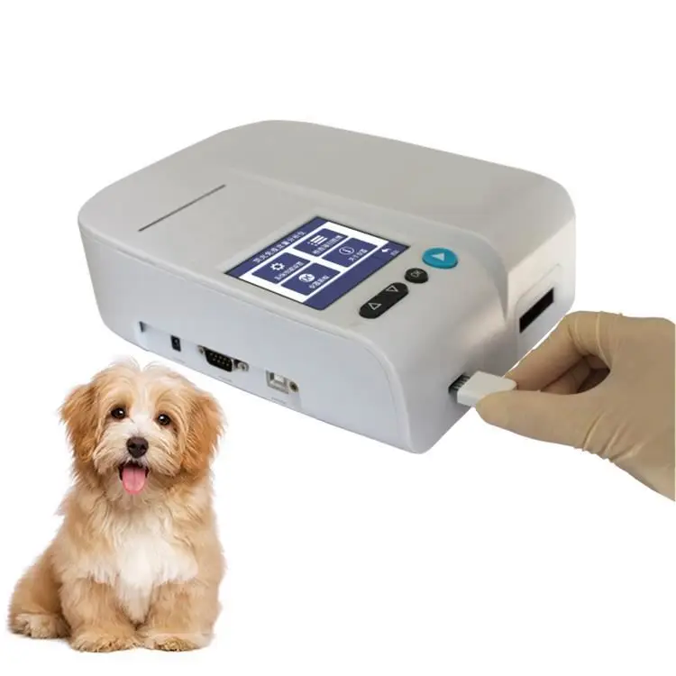 Canine Progesteron test Pregnancy test Dog Progesteron Analyzer Canine ...