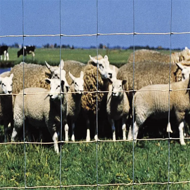 Factory Wholesale High Tensile Sheep Goat Fencing Filed Fence/ Farm ...