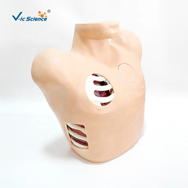 Nursing Manikin with Pneumothorax Pleural Drainage Simulator
