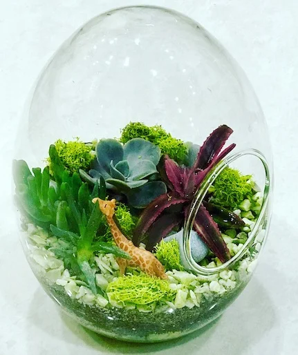 Custom Egg Shape Decorative Glass Terrarium for Plants