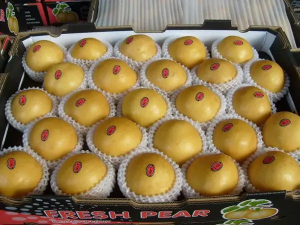 Frozen Crown Pear Chinese Fresh Ya Pear High Quality Fresh Fruit Sweet ...