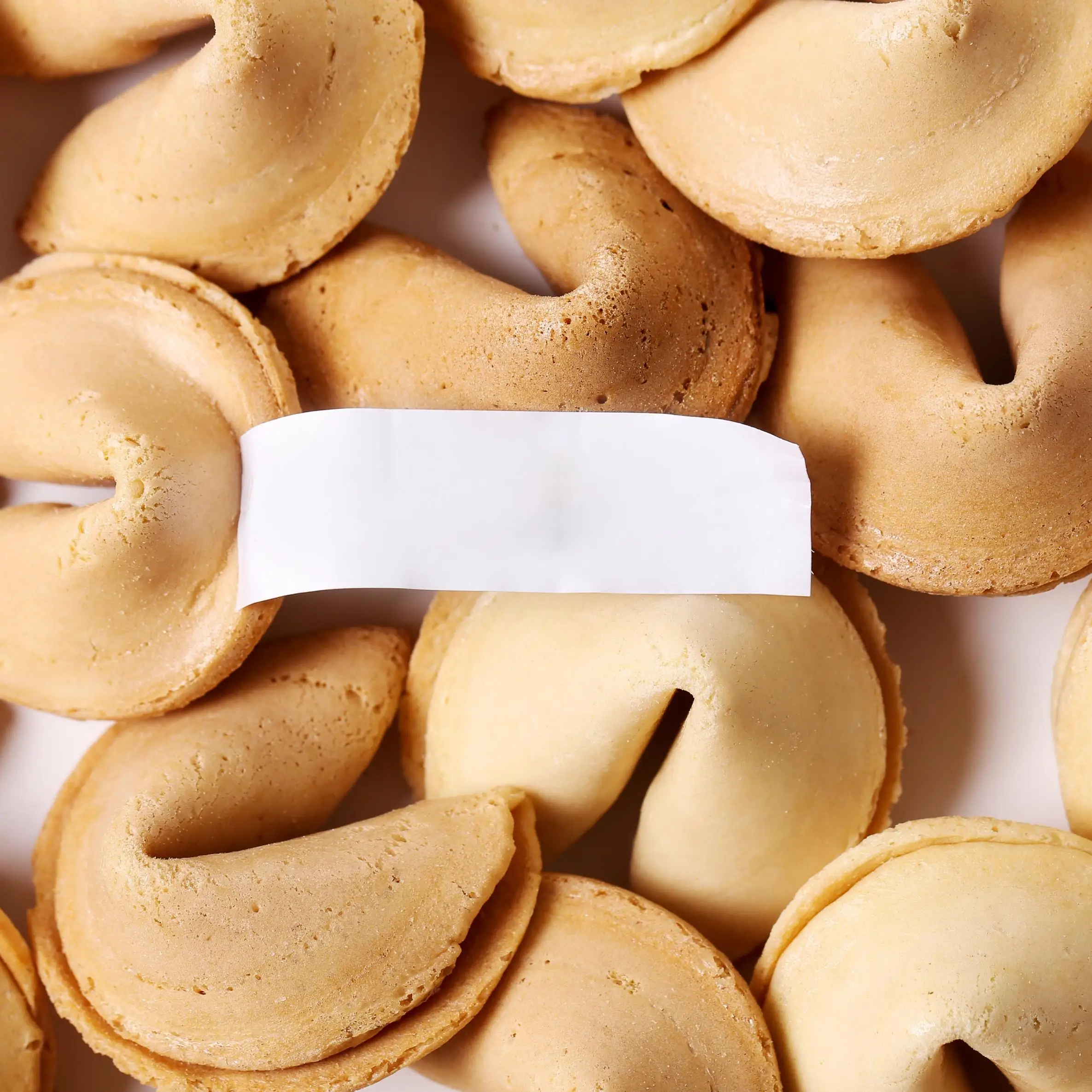 Gold Fortune Cookie Premium Cream Fortune Cookies
