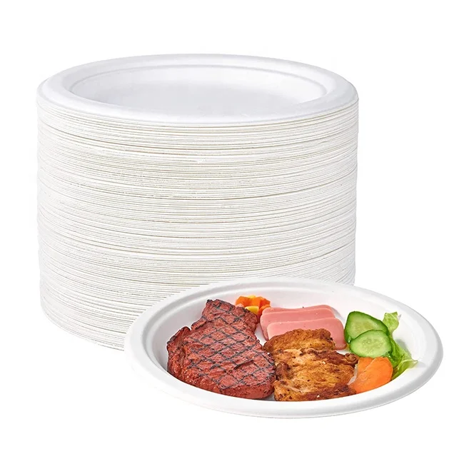 9 Inch Heavy Paper Food Plates Sugarcane Paper Dish Food Tray ...
