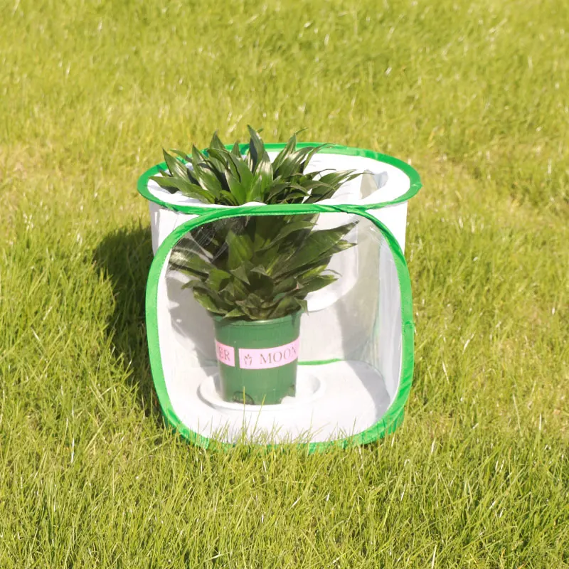 Custom Size and Color Long Lasting Foldable Pop-up Insect Butterfly ...