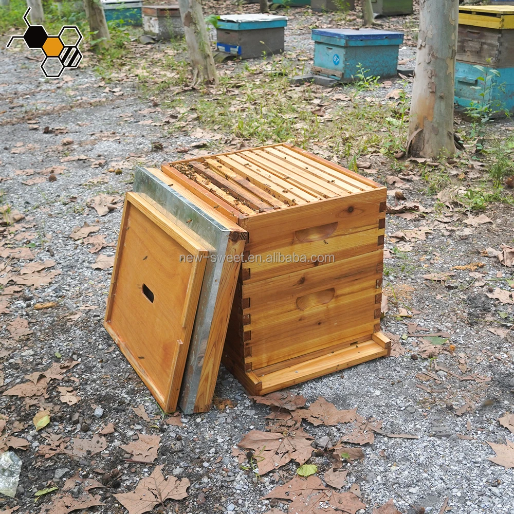 Langstroth 10 Frame Beehive Bee Box Apis Complete Wax Coated Bee Hives ...