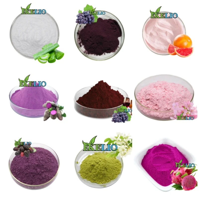 Plant Rehmannia Glutinosa Root Extract Powder Bulk Price 10:1Rehmannia ...